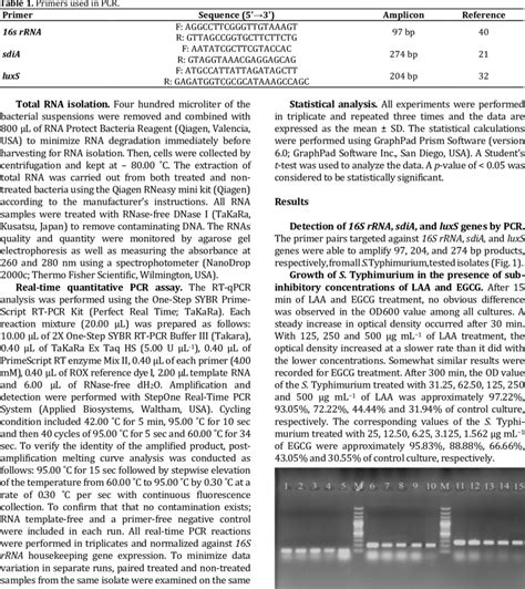 Agarose Gel Electrophoresis Of Pcr Product Of 16s Rrna Luxs And Sdia