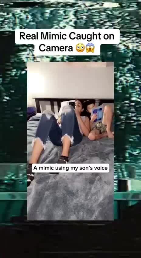 Real Mimic Caught Oncameraa Mimic Using My Sons Voice Newsbreak