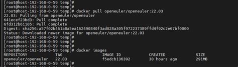 Openeuler Installation Openeuler
