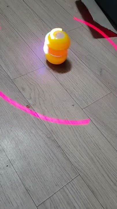 캐릭터팽이 장난감 Youtube