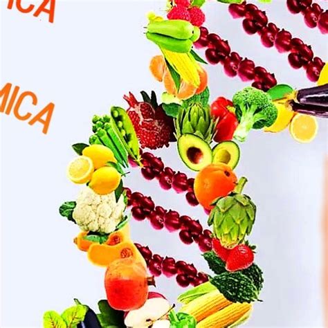Stream Episode Nutrigenética Y Nutrigenómica By Danna Almada Podcast