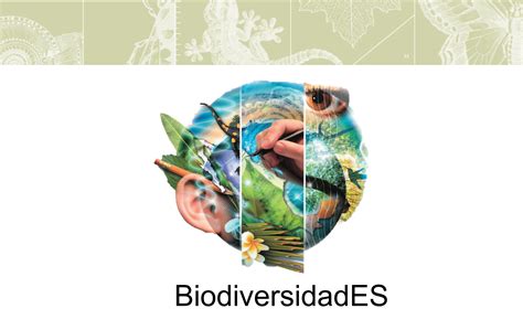 Biodiversidades Notas Backend BiodiversidadES