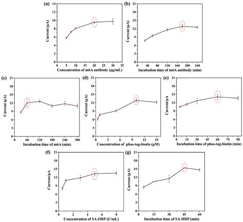 β Cyclodextrin Modified Laser Induced Graphene Electrode For Detection