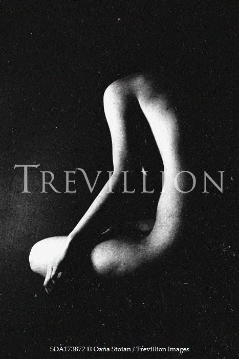 Trevillion Images