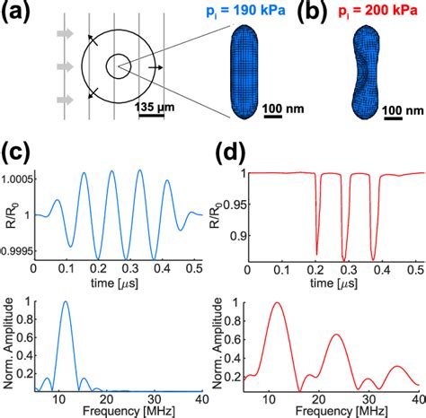 Figure 1 From Nonlinear Ultrasound Imaging Of Nanoscale Acoustic Biomolecules Semantic Scholar