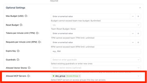Mcp Permission Management Litellm