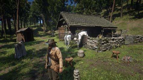 Day 23 Of Red Dead 2 Geoguessr Does Anyone Know Which House This Is