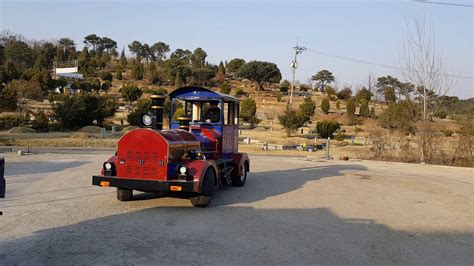 코끼리열차코끼리기차 엔진 전동 미니기차 Youtube