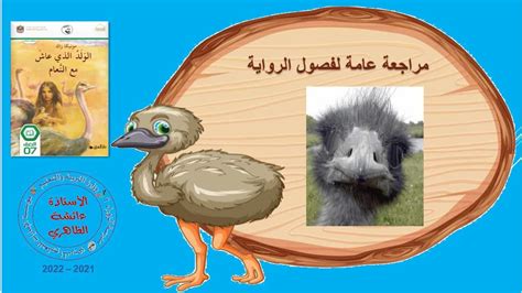 مراجعة عامة لفصول رواية الولد الذي عاش مع النعام اللغة العربية الصف