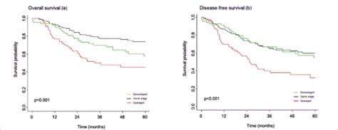 OS A And DFS B Related To The Change Of Stages Between The Th And Download Scientific