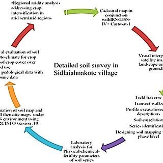 Hierarchy Of Soil Classification At Study Site Download Scientific Diagram