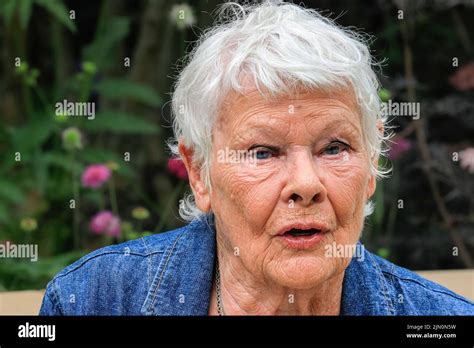 Dame Judi Dench English Actress Chelsea Flower Show Close Up Head