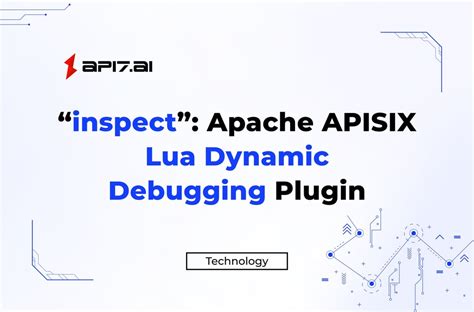 Inspect Lua Dynamic Debugging Plugin Rlua