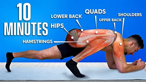 10 Minute Beginner Friendly Mobility Workout Follow Along YouTube
