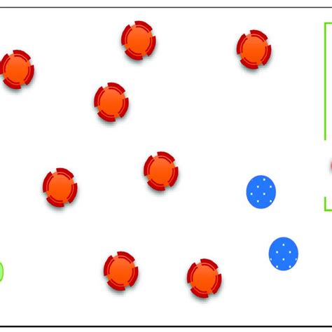 Nodes From The Same Class Are Deployed In An L Form Download