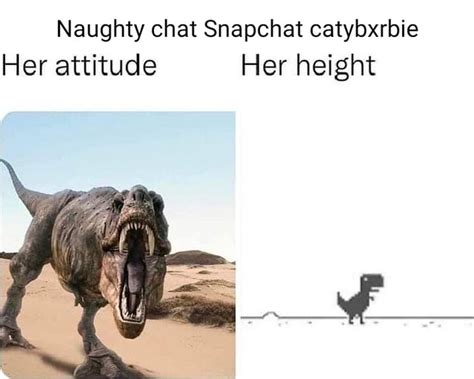 Naughty Chat Snapchat Catybxrbie Her Attitude Her Height Ifunny