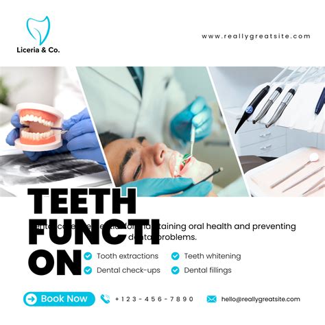 The Function Of Teeth Introduction To Teeth By Dahlia Flower Aug 2024 Medium