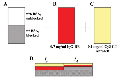 A C Fluorescencebased Characterization Of Bsa Blocking Efficiency