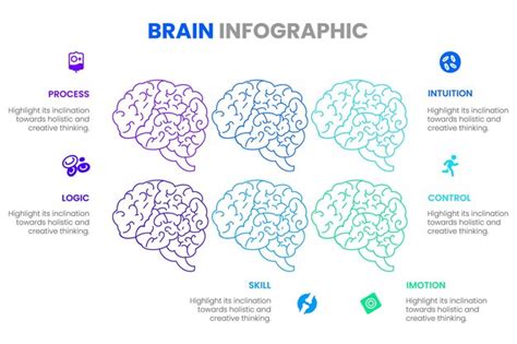 Premium Vector Infographics Vector Brain Design Vector Illustration Premium Vector Infographics Vector Brain Design Vector Illustration