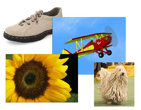 Scene Classification