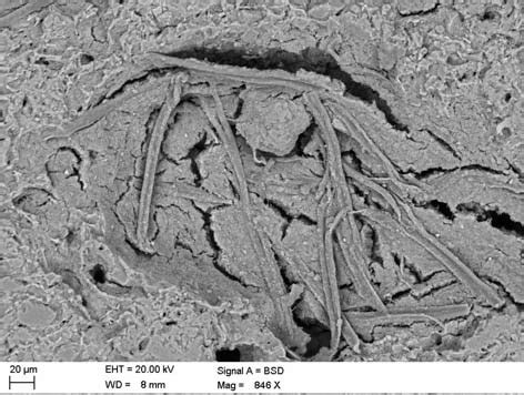 Microstructure Of Element 2 With Visible Of Organic Remains Download Scientific Diagram