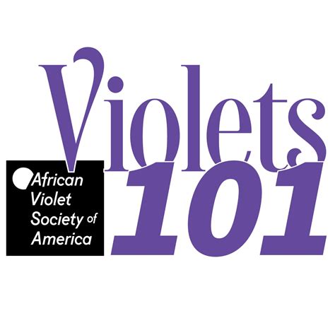 Violets 101 African Violet Society Of America