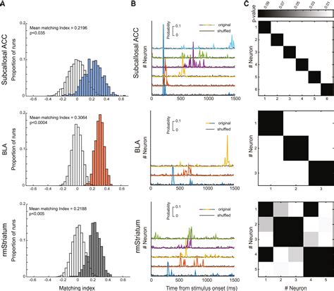Temporally Specific Patterns Of Neural Activity In Interconnected