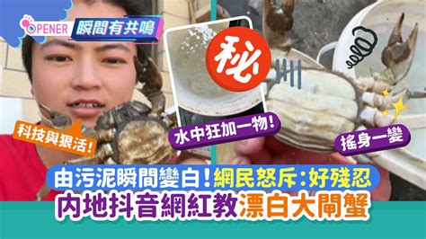 内地抖音網紅教漂白大閘蟹 由污泥瞬間變白！網民怒斥：牠快死了