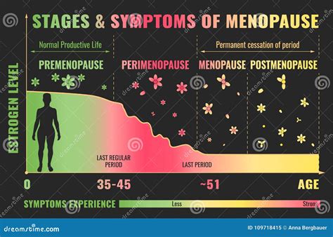 Stages Of Menopause Infographic Stock Vector Illustration Of Gynecology Cycle 109718415