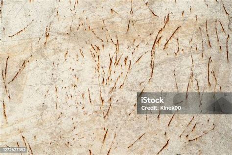 회색 콘크리트 벽으로 만든 매끄러운 상세 한 배경과 상처와 녹 꽃 0명에 대한 스톡 사진 및 기타 이미지 0명 갈색 거친 Istock