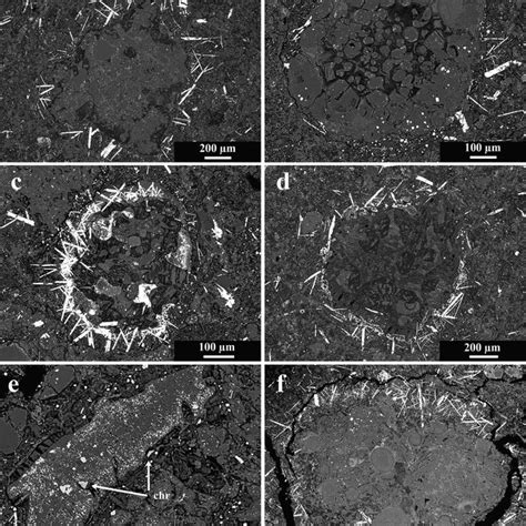 Conel Alexander Researcher Phd Carnegie Institution For Science Washington Earth And