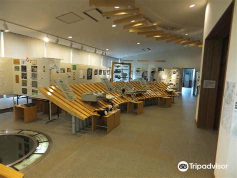 2024北海道海鳥センター 旅游攻略 门票 地址 问答 游记点评羽幌町旅游旅游景点推荐 去哪儿攻略