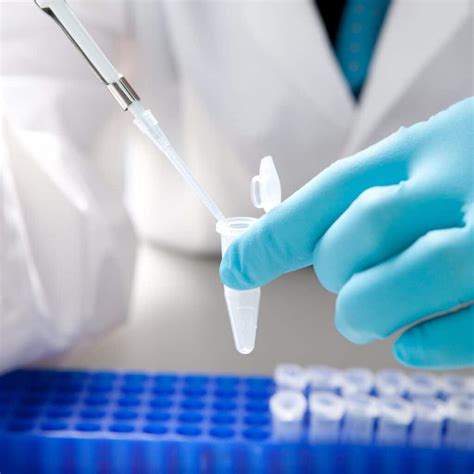 Plasmid And Mrna Ubrigene