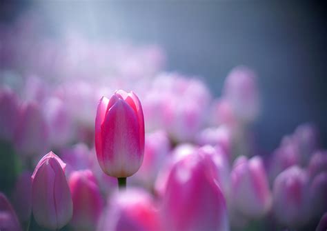 森 健 「春光射す」 （2022年）