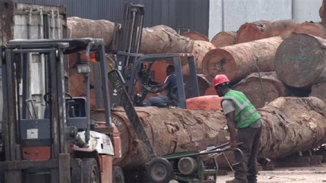 Gabon la success story de la zone économique spéciale de Nkok Le360