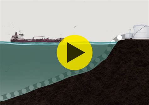 Enter The Carbon Catcher The Carbon Catcher