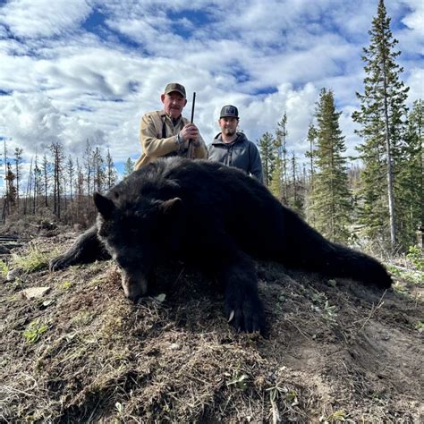 British Columbia Black Bear Hunt Steves Outdoor Adventures Steves