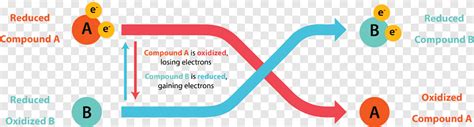 Organic Redox Reactions