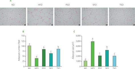 Oral Supplementation With Three Vegetable Oils Differing In Fatty Acid Composition Alleviates