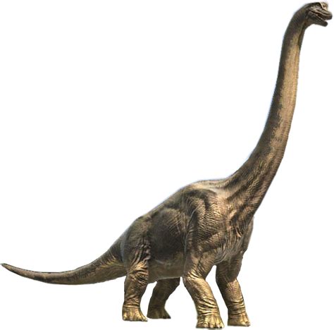 Jwa Brachiosaurus Png By Godzilla200004444 On Deviantart