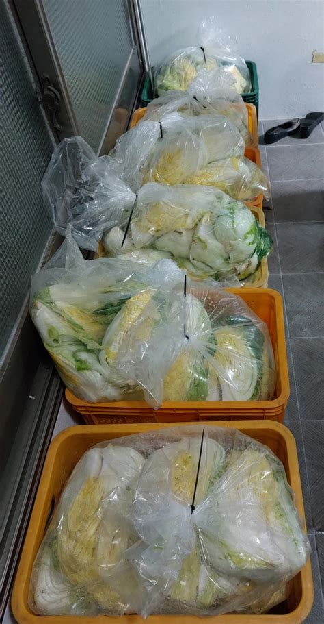 북구 노원동2가 이웃과 이야기해보세요 당근마켓 동네생활