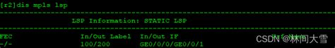 静态lsp与动态lsp实验解析（mpls）dis Mpls Lsp Csdn博客