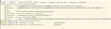 Unknown Error While Creating Custom Network Issue Vechain Thor