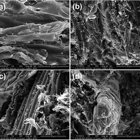 Typical Xrd Patterns From Polyethylene Ldpelldpe Pe Download