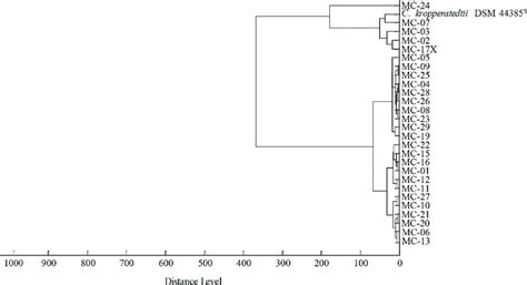 Dendrogram Revealed By Maldi Tof Ms Bruker Biotyper System Showing