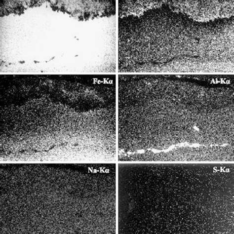 Composition Image Bsei And X Ray Mappings Of The Cross Section Of The