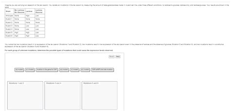 Solved Expression Of The Lac Operon Mutation 5 And Mutation