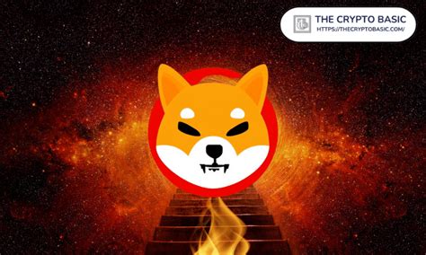 Newly Emerged Token Burns 169 Billion Shiba Inu