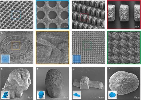 Printing Of Complex Nanowrinkled 2d And 3d Microarchitectures A Sem Download Scientific