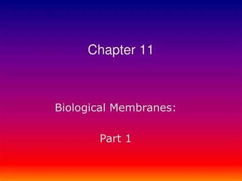 PPT Chapter 11 PowerPoint Presentation Free Download ID 5672191